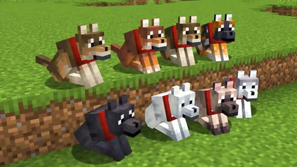 All New Animal Variants in Minecraft (Spring to Life Update)